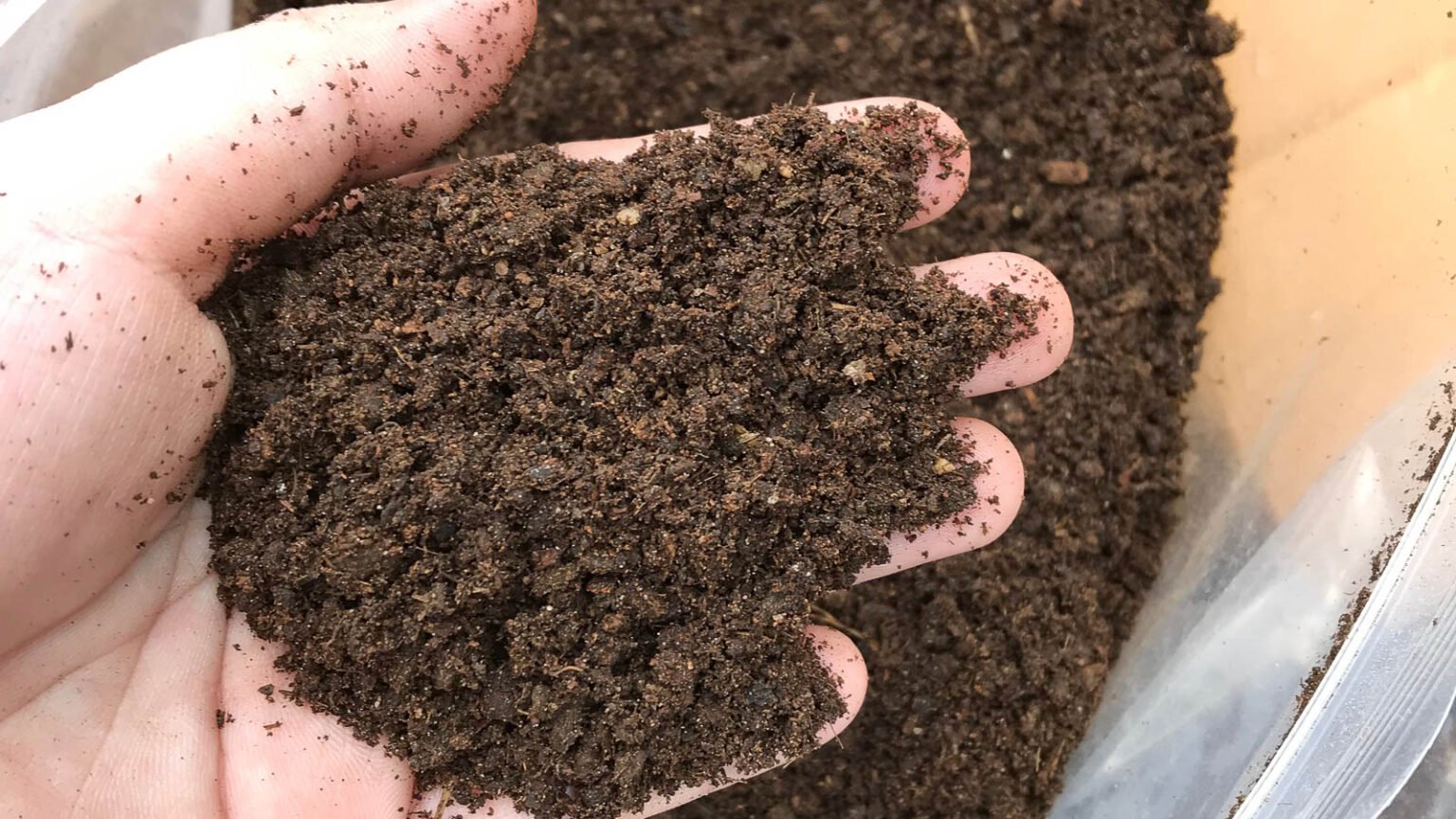 How to Use Bat Guano Fertilizer Safely In Your Garden