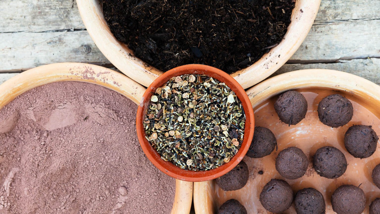 How To Make Seed Bombs: 3 Different Methods
