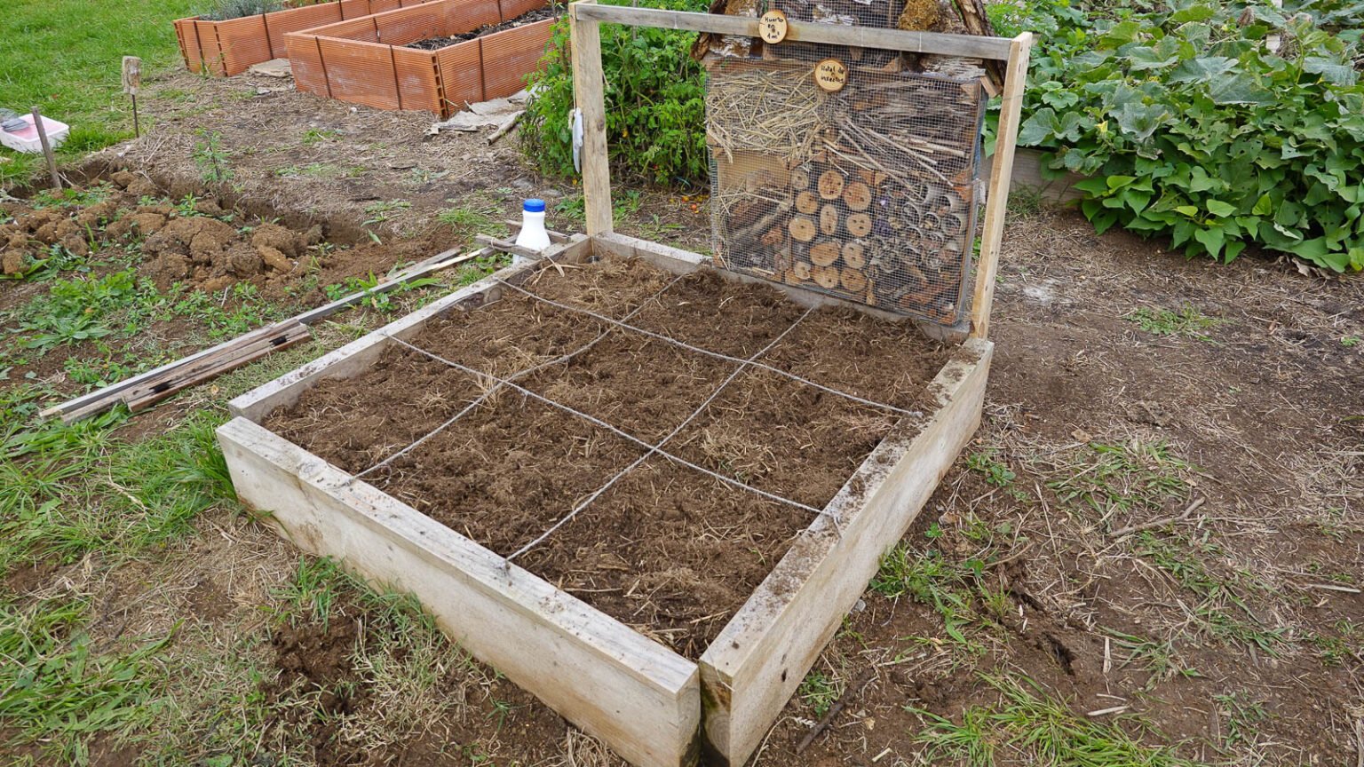 Potato Spacing: How Far Apart To Plant Potatoes