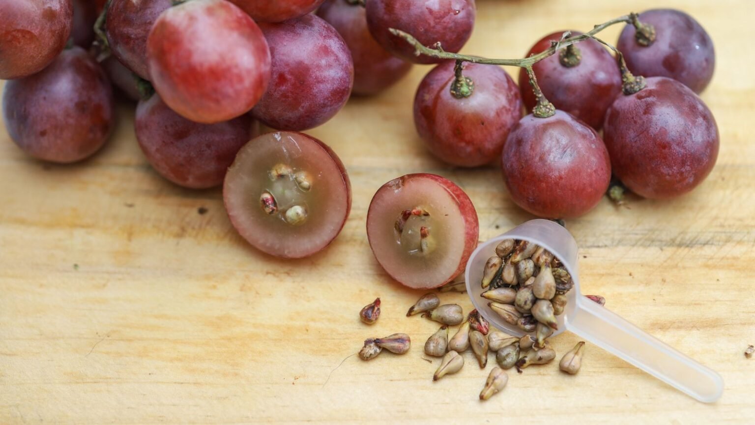 How to Plant, Grow, and Care for Grapes