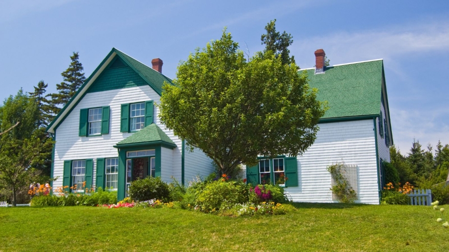 A Guide to Choosing the Best Tree For Your Yard: Factors to Consider