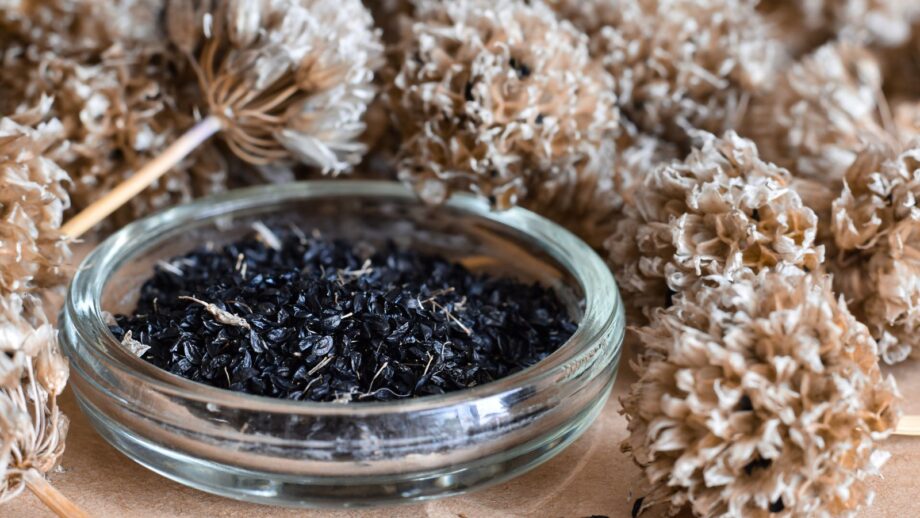 How to Plant, Grow, and Care for Chives