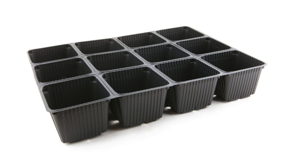 How to Grow Shiso Microgreens in 6 Easy Steps