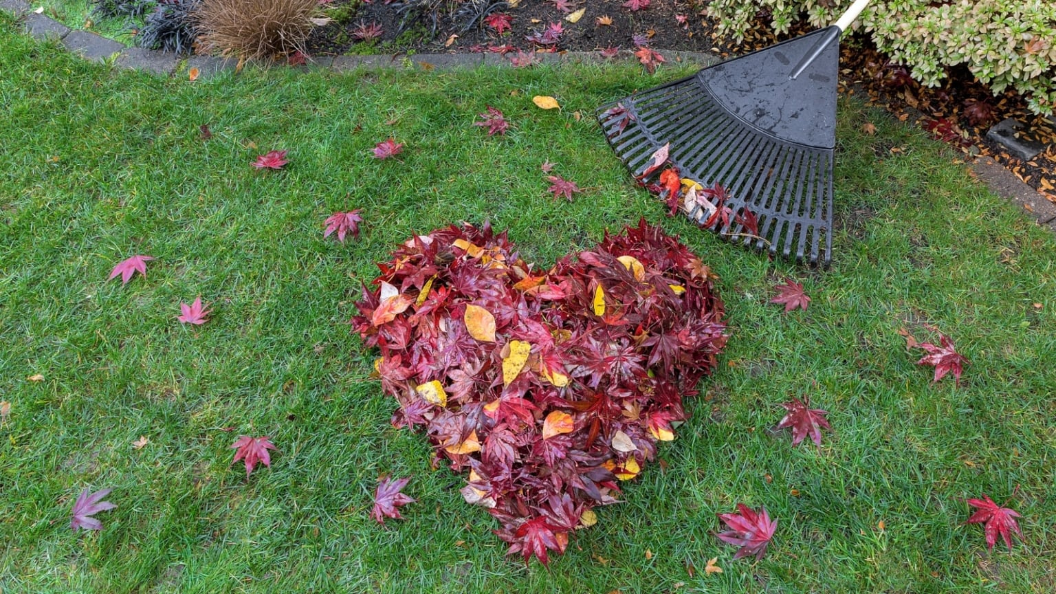 How to Leave the Leaves in Your Yard Without Creating A Mess: 7 Tips