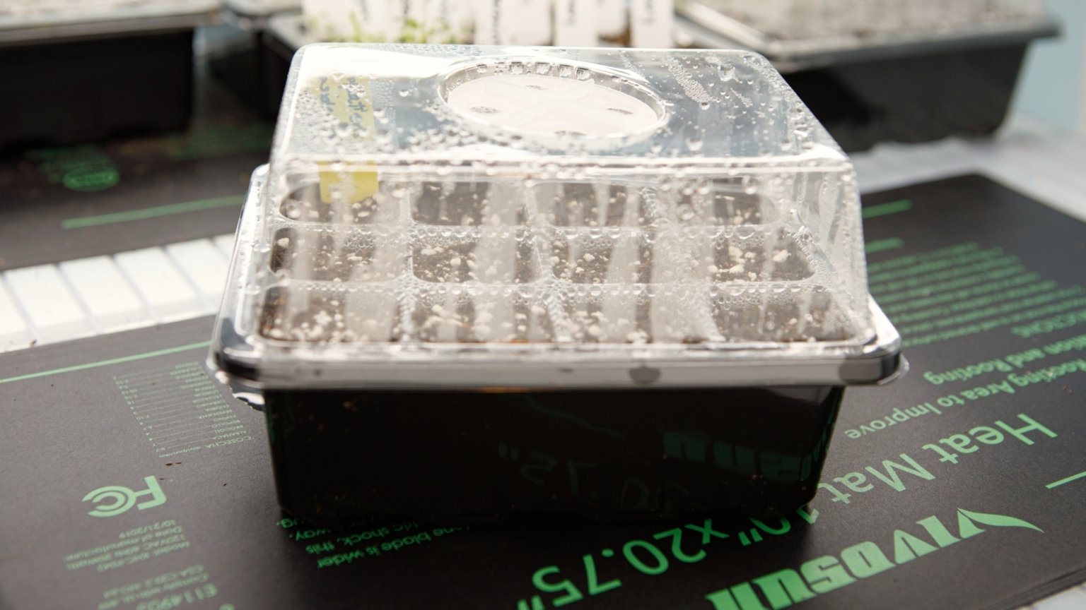 How to Use a Seedling Heat Mat the Right Way