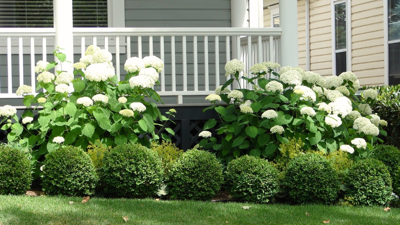 7 Foundation Planting Design Ideas to Upgrade Your Home