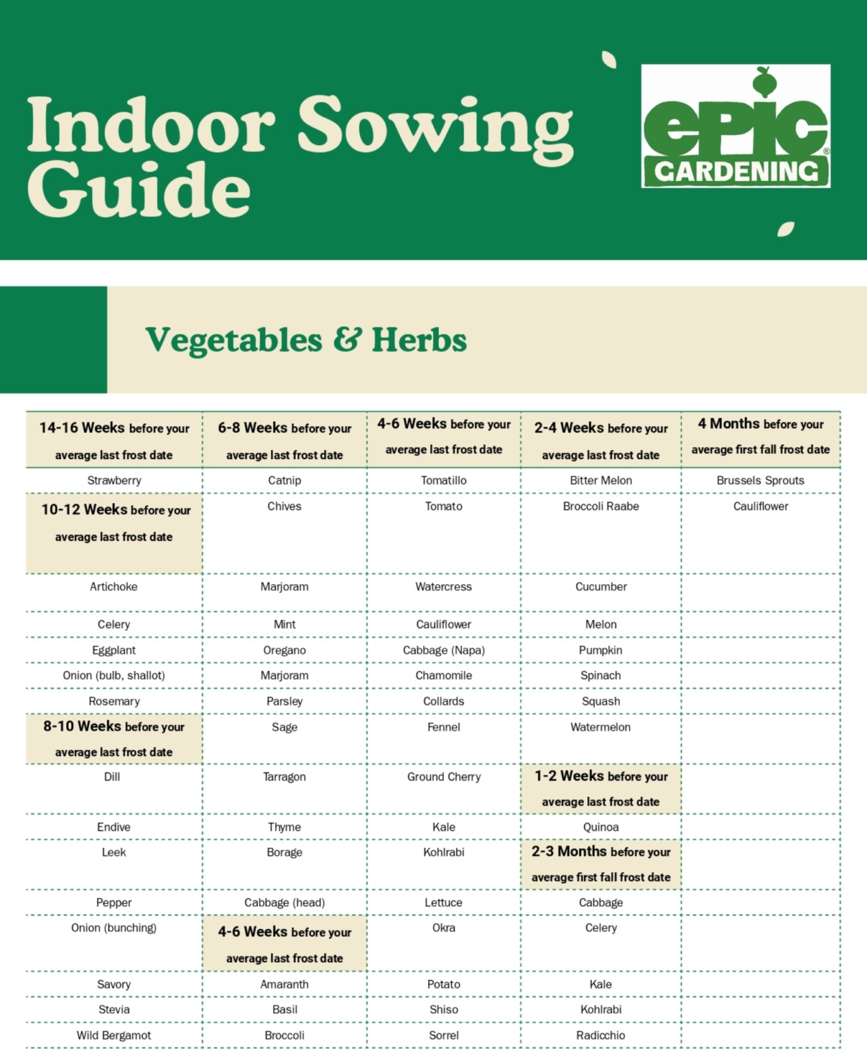 How and When to Start Seeds Indoors