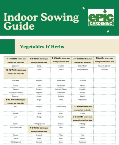 How and When to Start Seeds Indoors