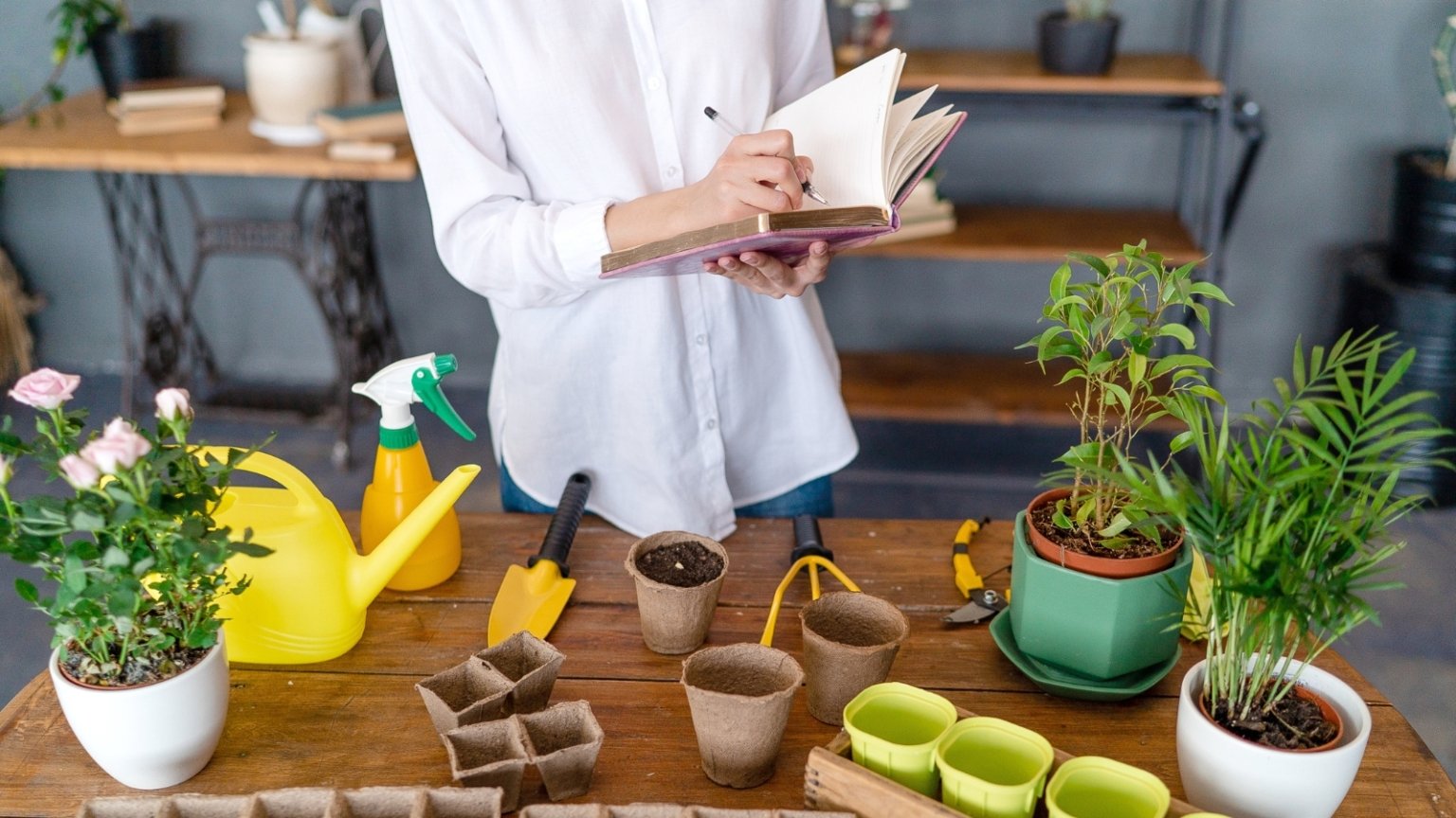 Seed-Starting for Beginners: Our Best Tips for Easy Growing