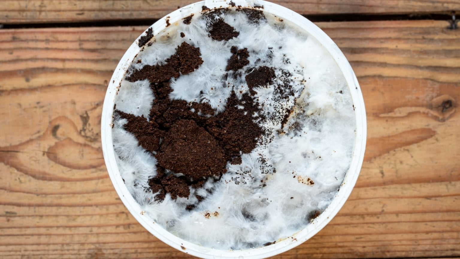 Mushroom Compost: What It Is, What It Does, And How To Make It - Epic ...