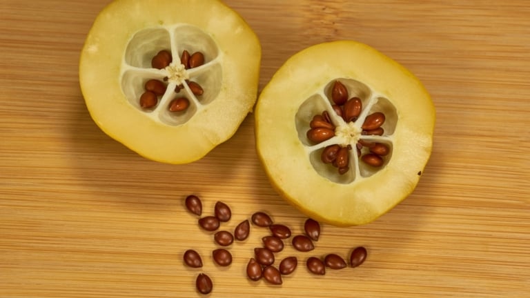 How to Plant, Grow, and Care for Quince Trees