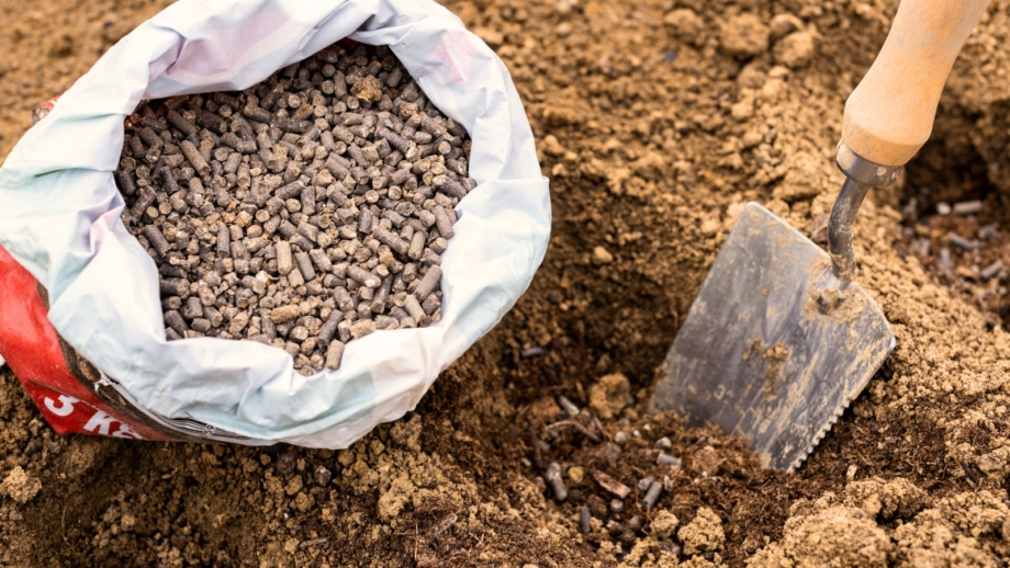 Chicken Manure: Turn Waste Into Quality Fertilizer- Epic Gardening