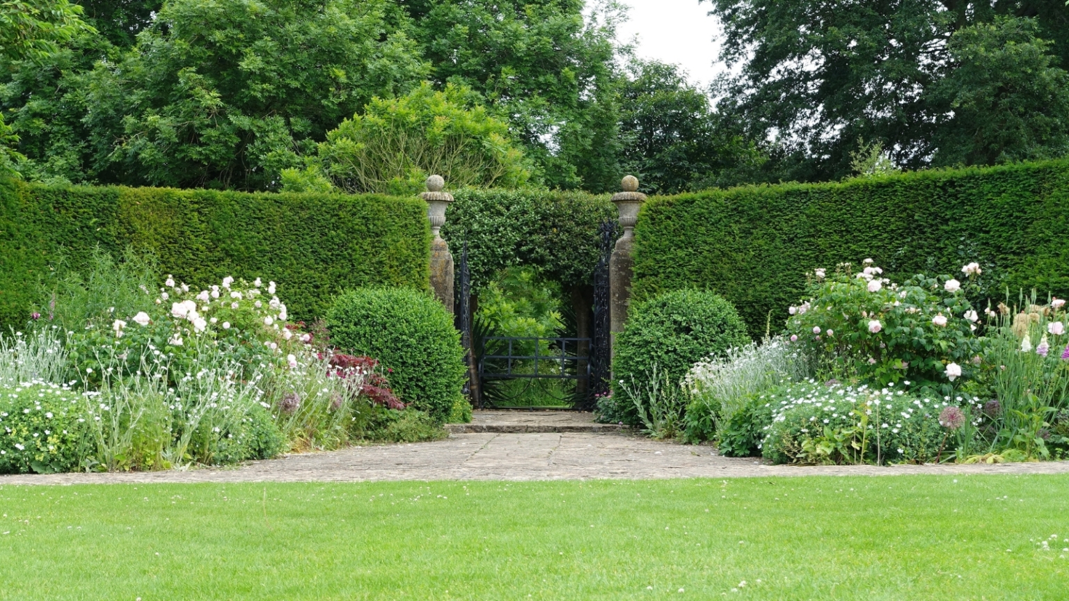 How and When to Trim Your Hedges - Epic Gardening