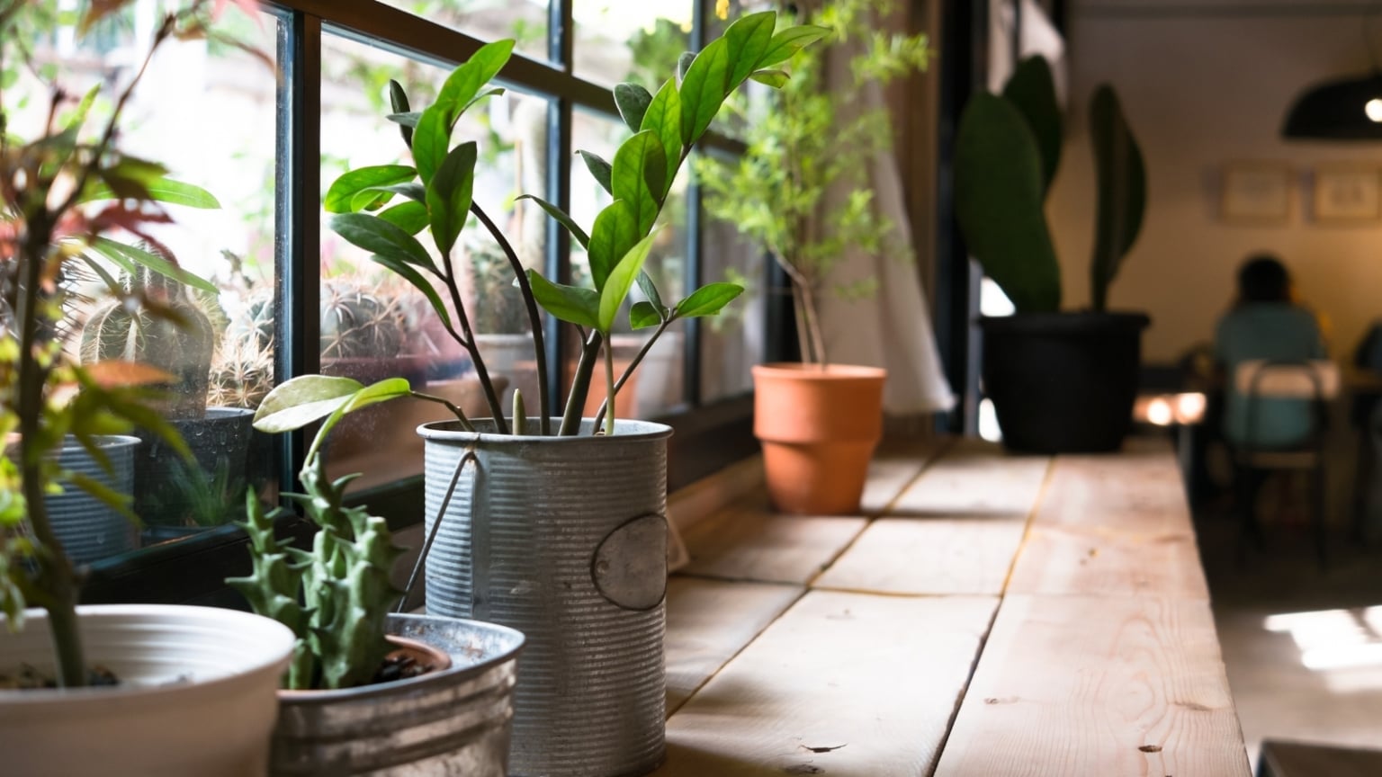 9 Ways to Protect Vulnerable Perennial Plants from Winter Damage