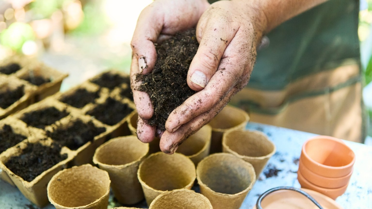 Seed-Starting 101: 11 Tips to Get it Right