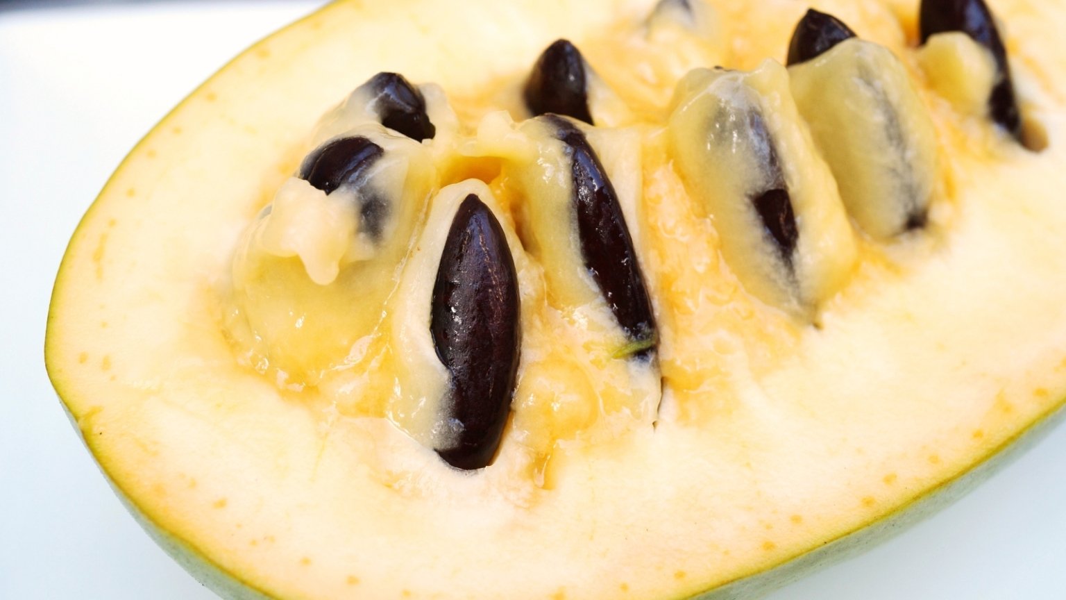How to Plant, Grow, and Care For Pawpaw Trees