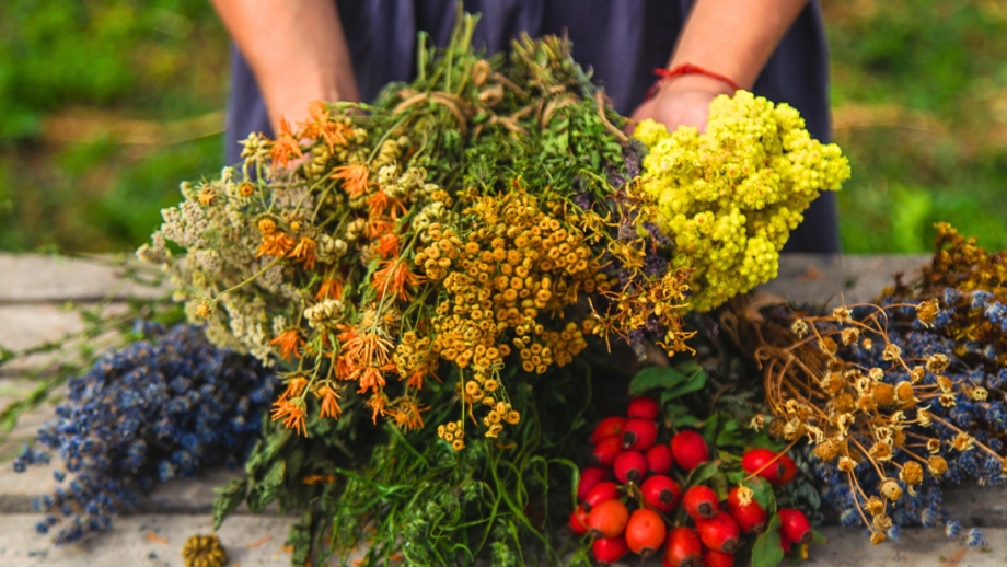 Why November is the Best Time to Shop Your Own Garden