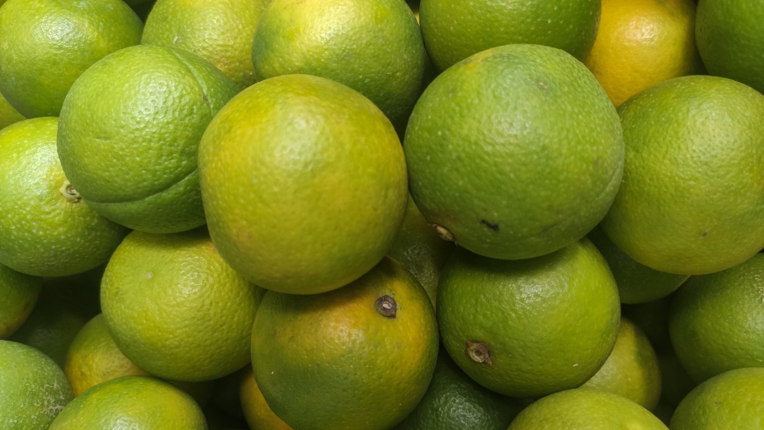 How and When to Harvest Limes