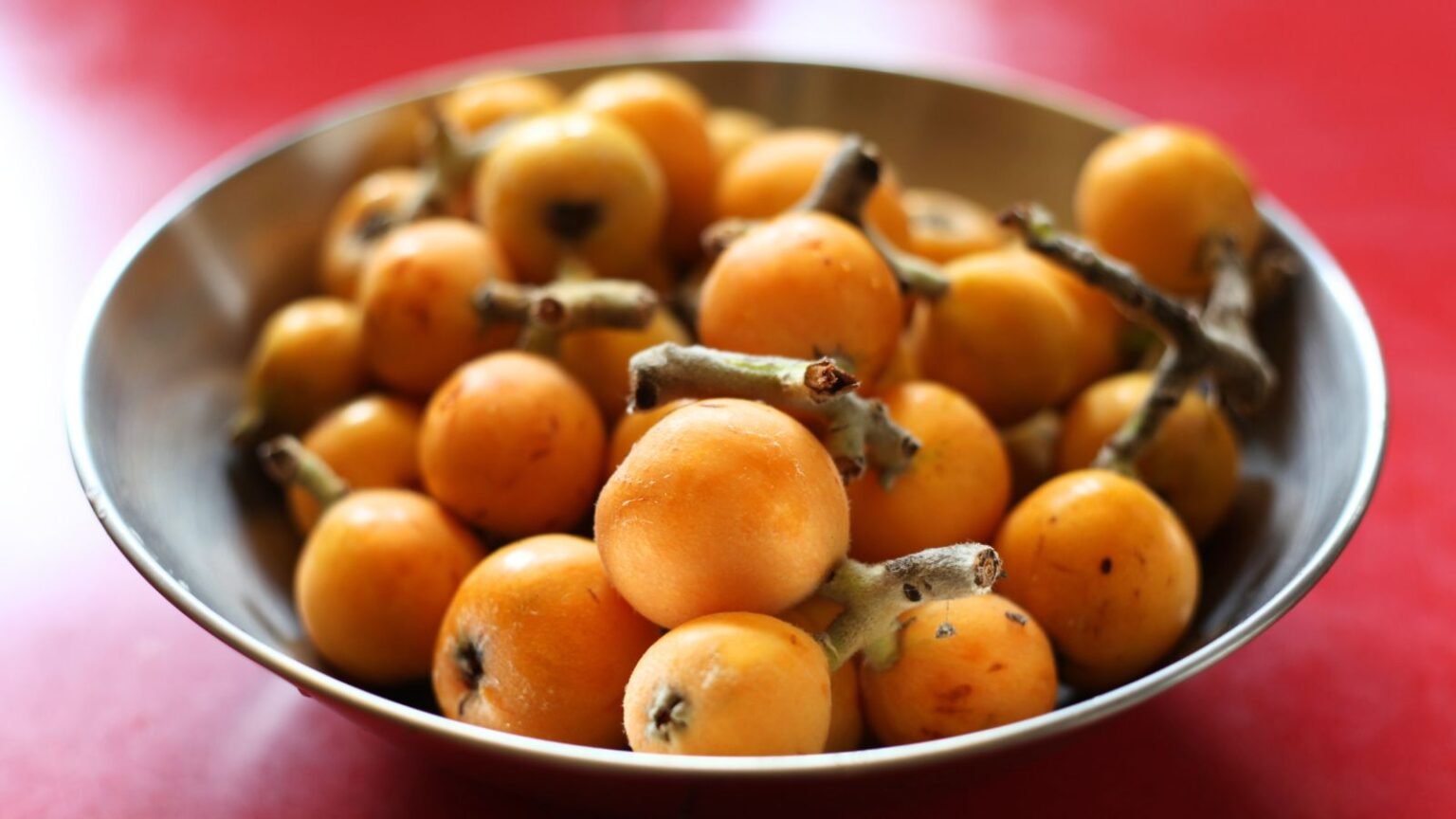 How to Plant, Grow, and Care for a Loquat Tree