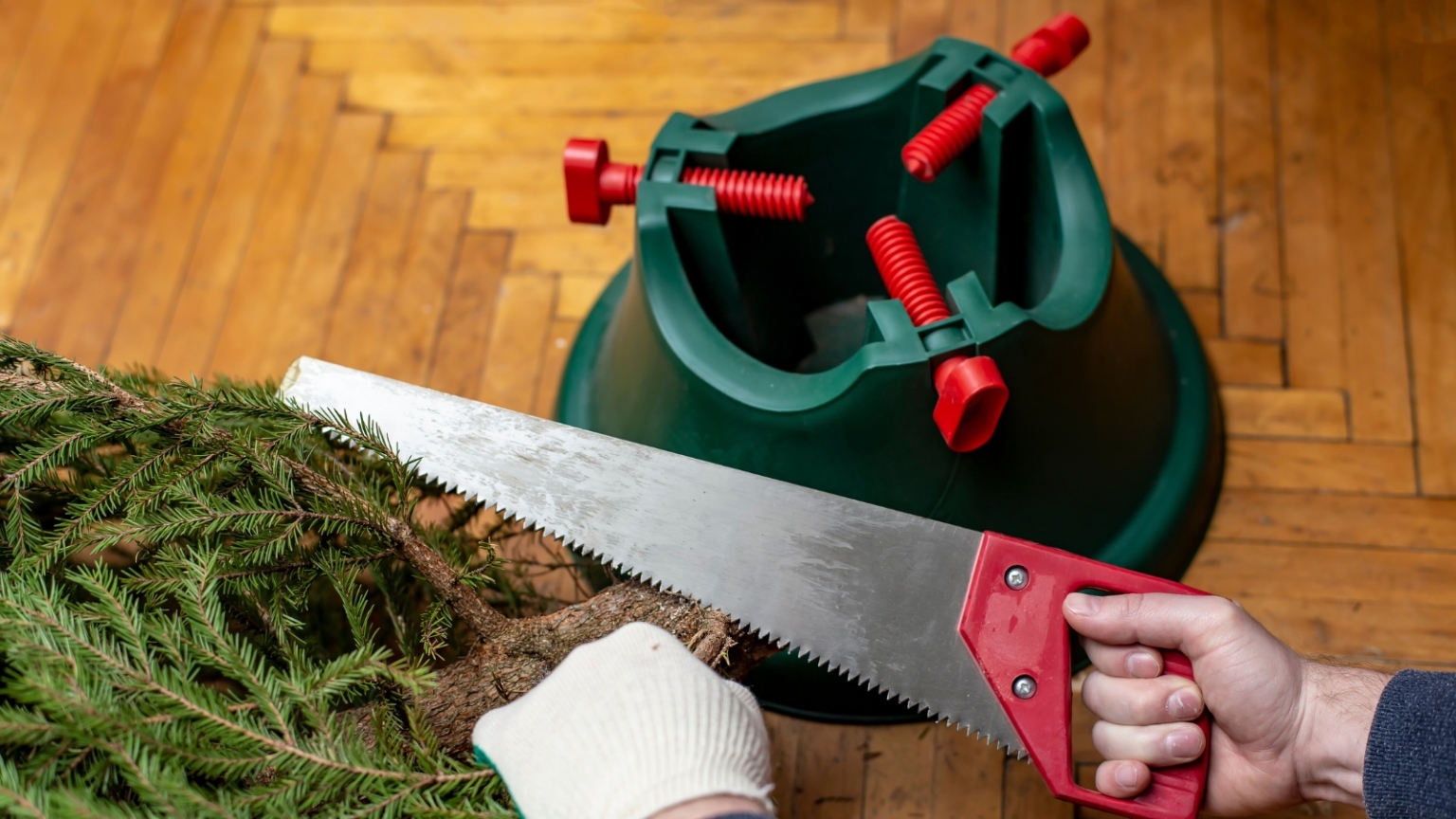 11 Pro Tips to Keep Your Christmas Tree Alive as Long as Possible