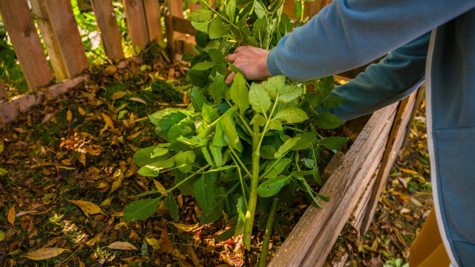 7 Ways to Reduce, Reuse, and Recycle in the Garden This Year