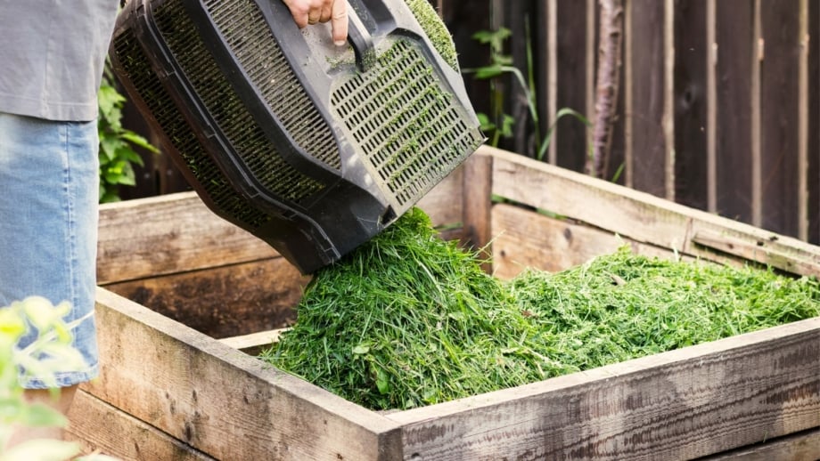 How to Compost in Winter: 7 Expert Tips