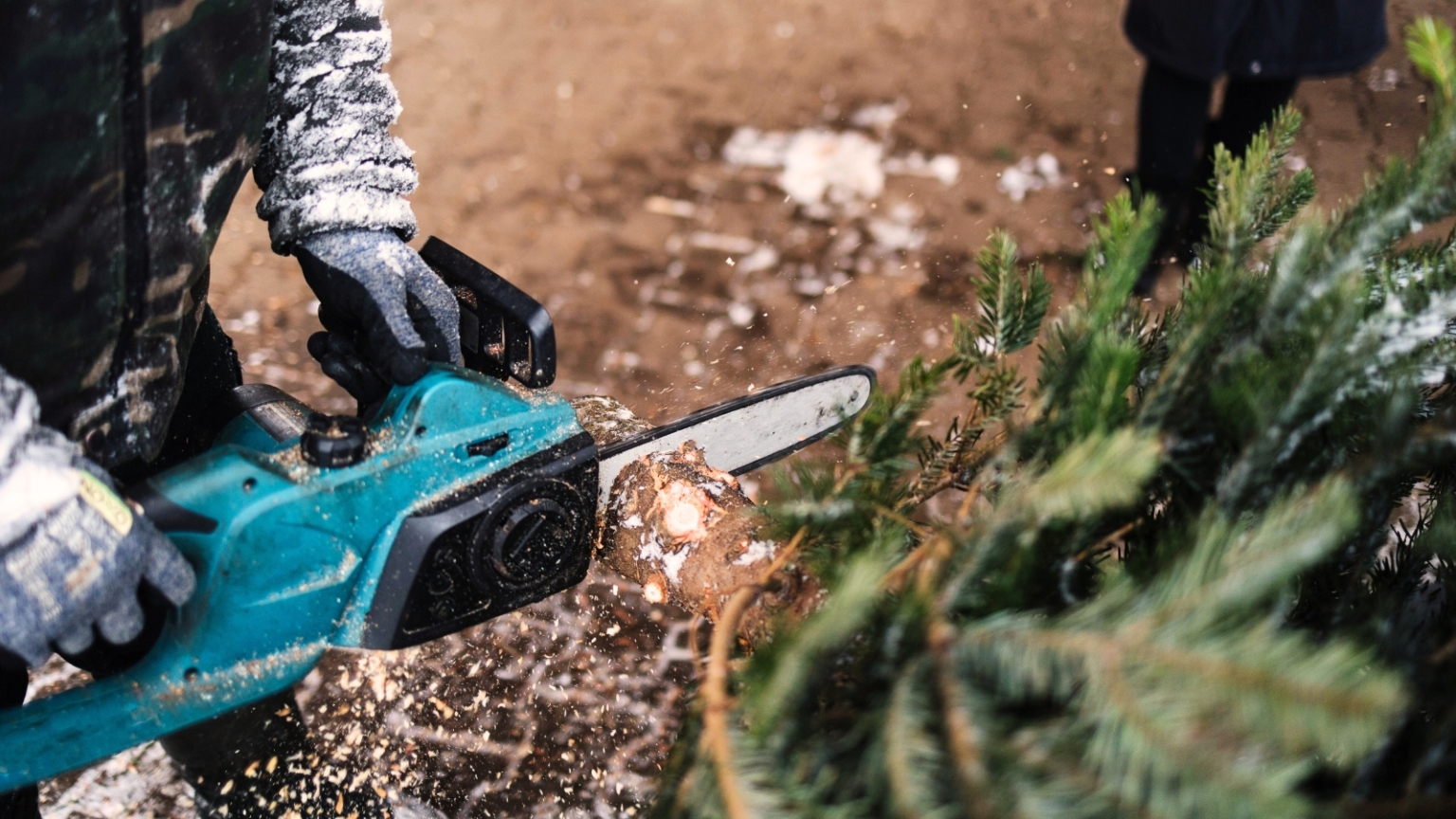 Landscaping Careers: Finding A Pathway Through The Industry - Epic ...