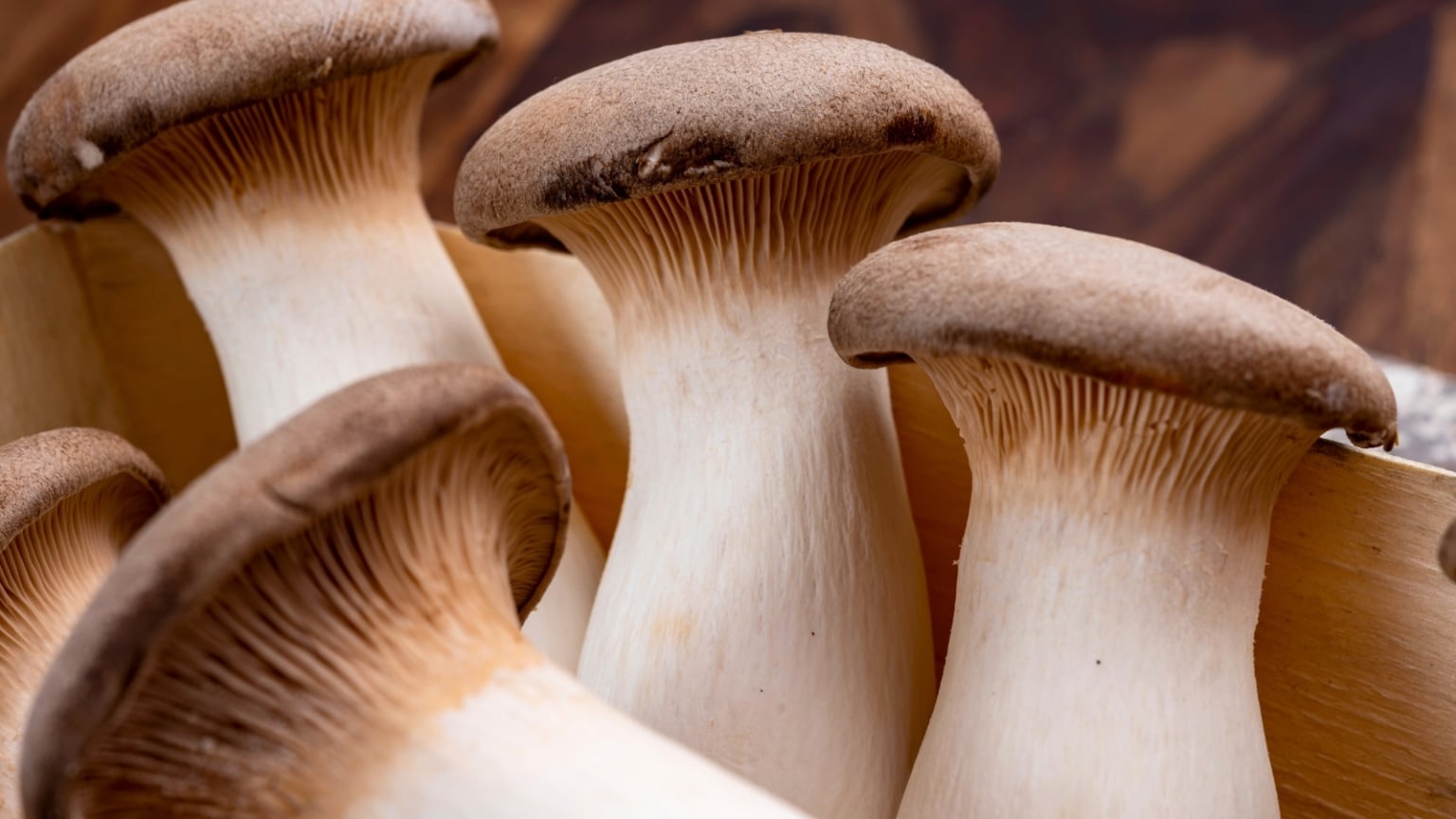 How to Plant, Grow, and Care for 'King Trumpet' Mushrooms