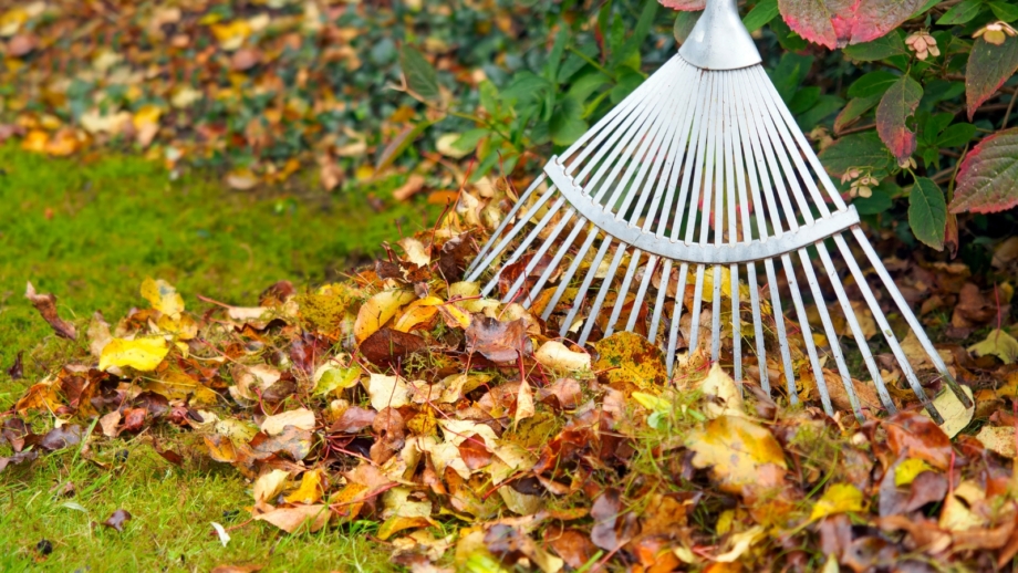 7 Ways to Reduce, Reuse, and Recycle in the Garden This Year