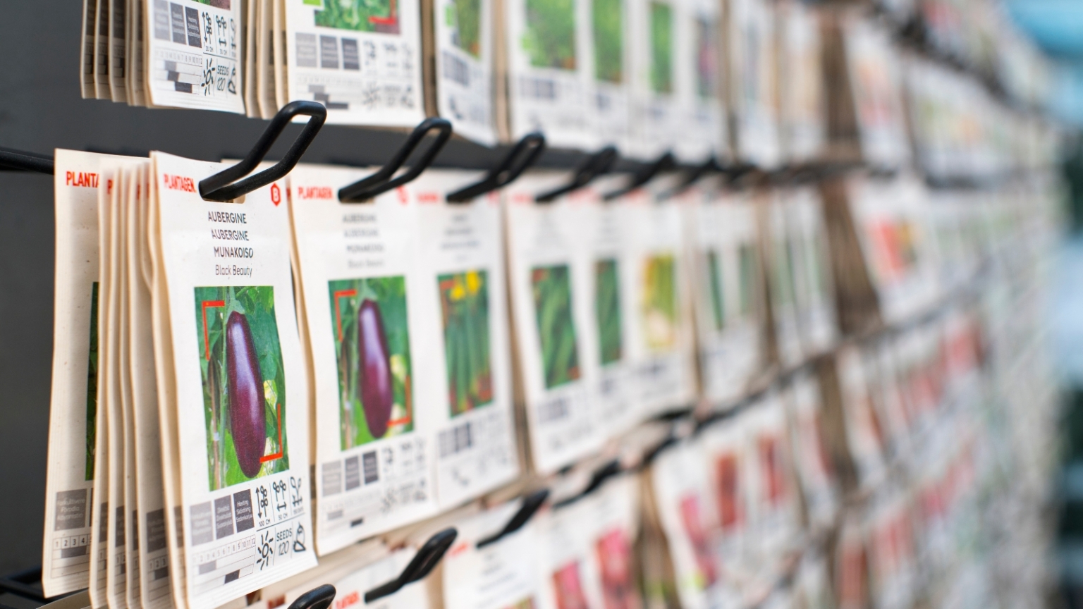 5 Benefits of Ordering Your Seeds in December