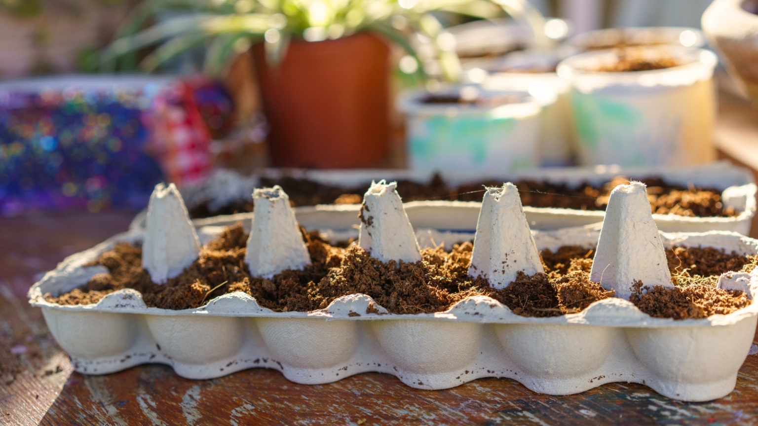 How to Soil Block Without A Blocker: 7 Seed-Starting Hacks