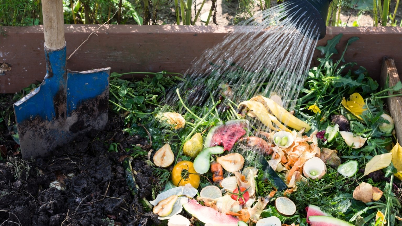 How to Speed up Your Compost: 17 Strategies to Try