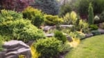 9 Ways to Add More Evergreen Color to Your Landscape