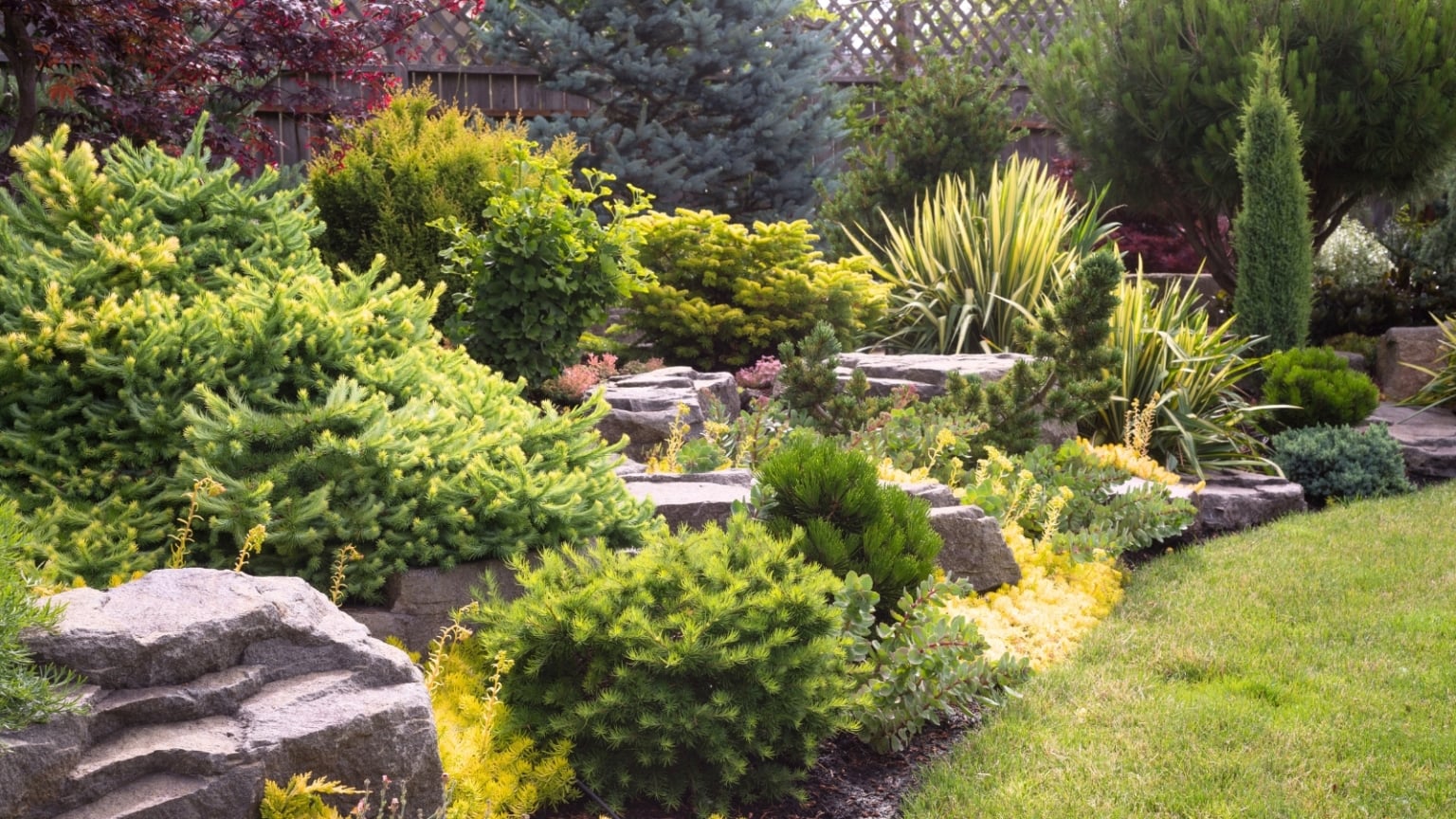 9 Ways to Add More Evergreen Color to Your Landscape