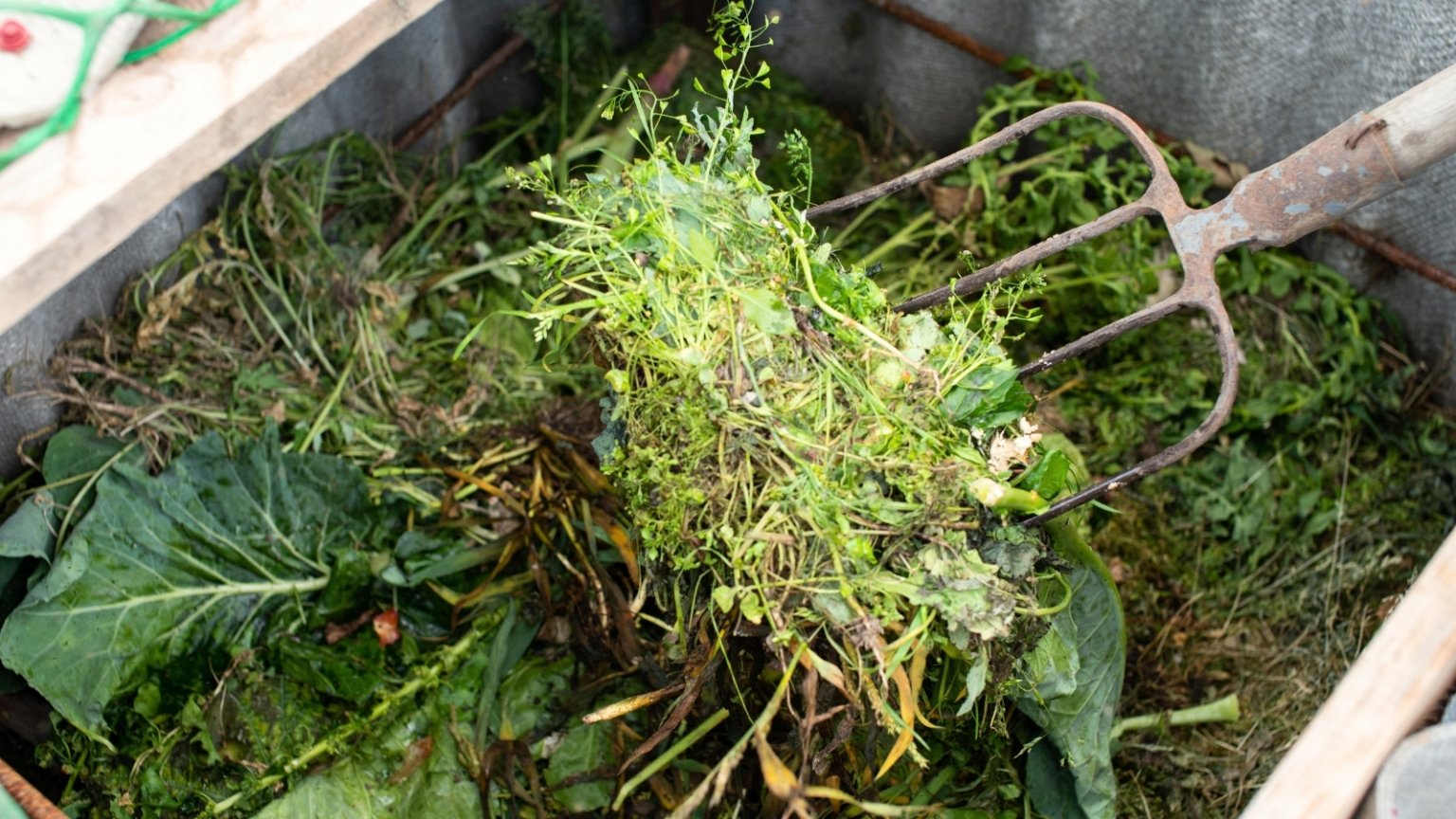 How to Compost in Winter: 7 Expert Tips