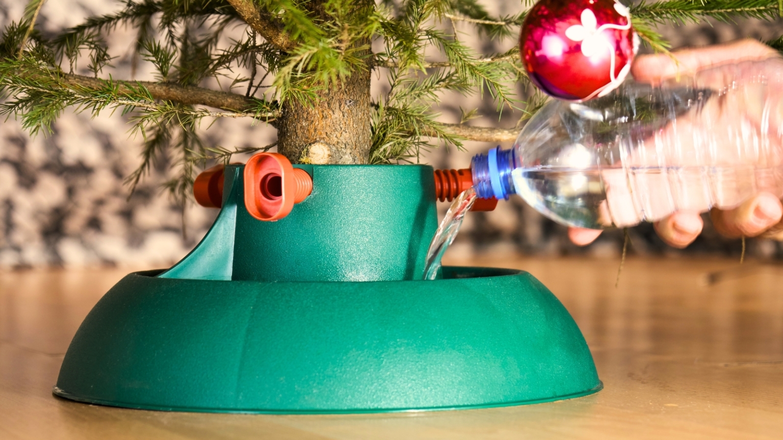 11 Pro Tips to Keep Your Christmas Tree Alive as Long as Possible