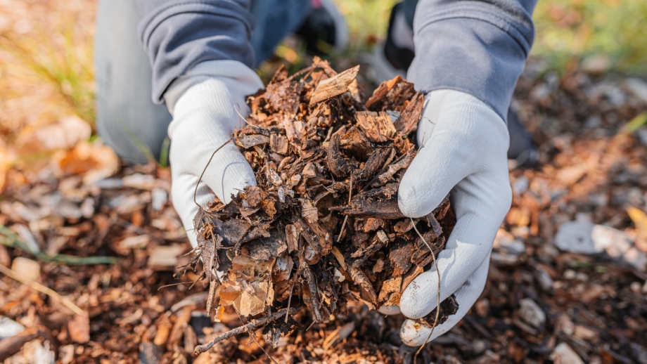 The Best Performing DIY Soil Mix for Home Gardeners: How to Make it
