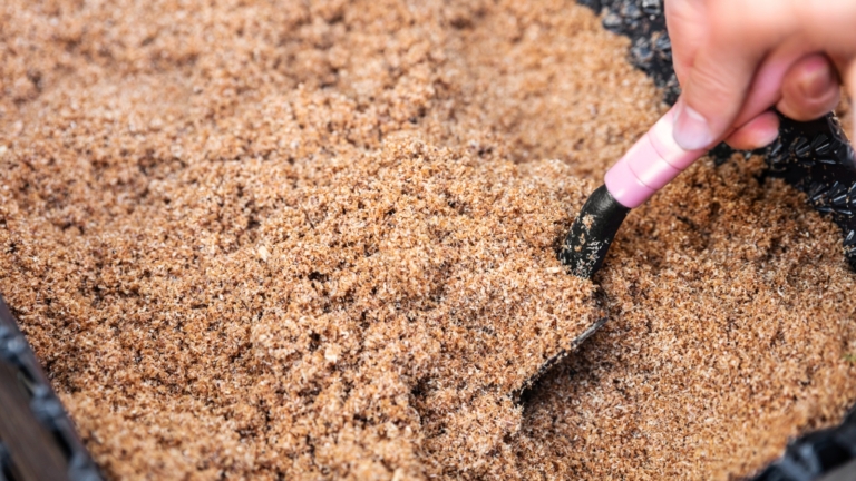 How to Build Outdoor Mushroom Beds in 11 Steps