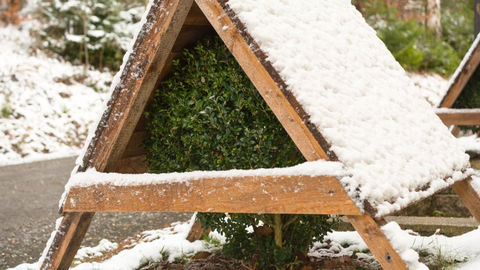 Damage from Heavy Snowfall: 7 Tree-Saving Strategies