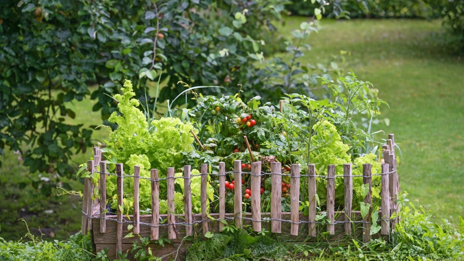 Planning Your Spring Vegetable Garden: 9 Pro Tips