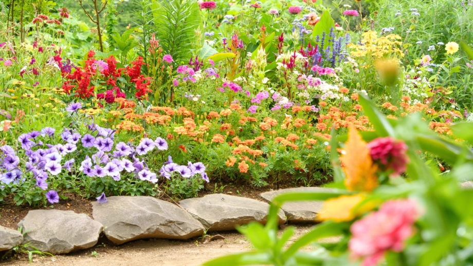 Planning Your Spring Flower Garden: 7 Pro Tips