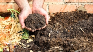 Perlite Vs. Sand: The Best Way to Improve Soil Drainage - Epic Gardening