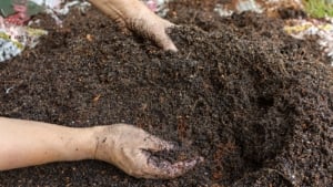 The Best Performing DIY Soil Mix for Home Gardeners: How to Make it
