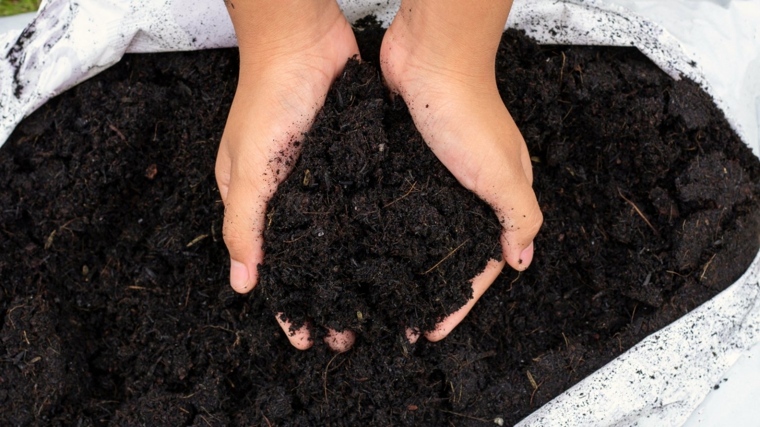 How to Make Your Own Soil Block Mix: Growing Medium Recipes