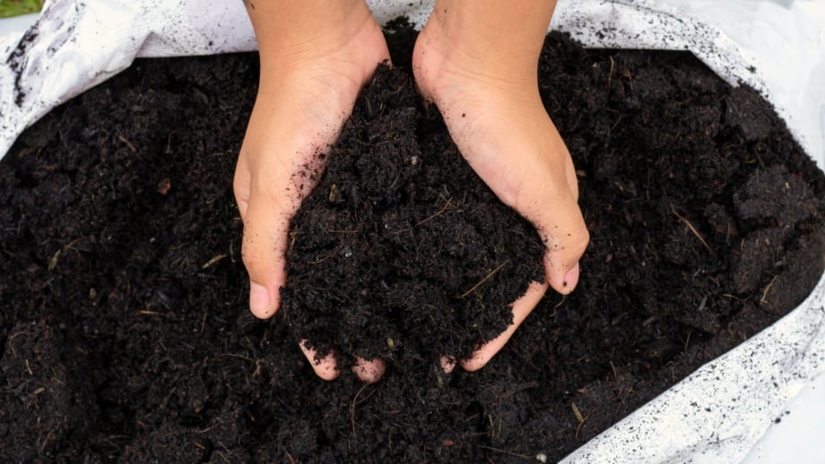 How to Make Your Own Soil Block Mix: Growing Medium Recipes