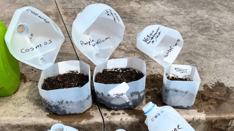 5 Seed Germination Methods To Try This Season - Epic Gardening
