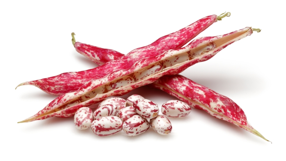 13 Seeds You Should Wait to Start Until Late Spring