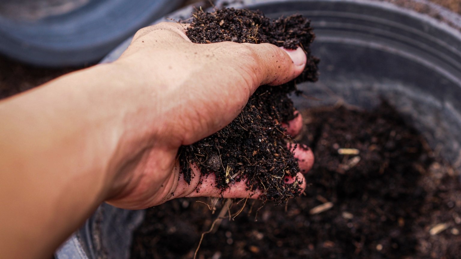 How to Make Your Own Soil Block Mix: Growing Medium Recipes