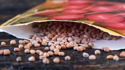Keep or Toss? How to Assess if Your Plant Seeds are Still Viable