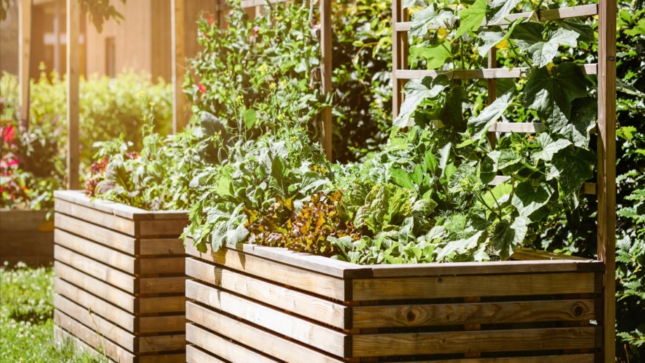 How Many Raised Beds Do You Need? Simple Ways to Figure it Out